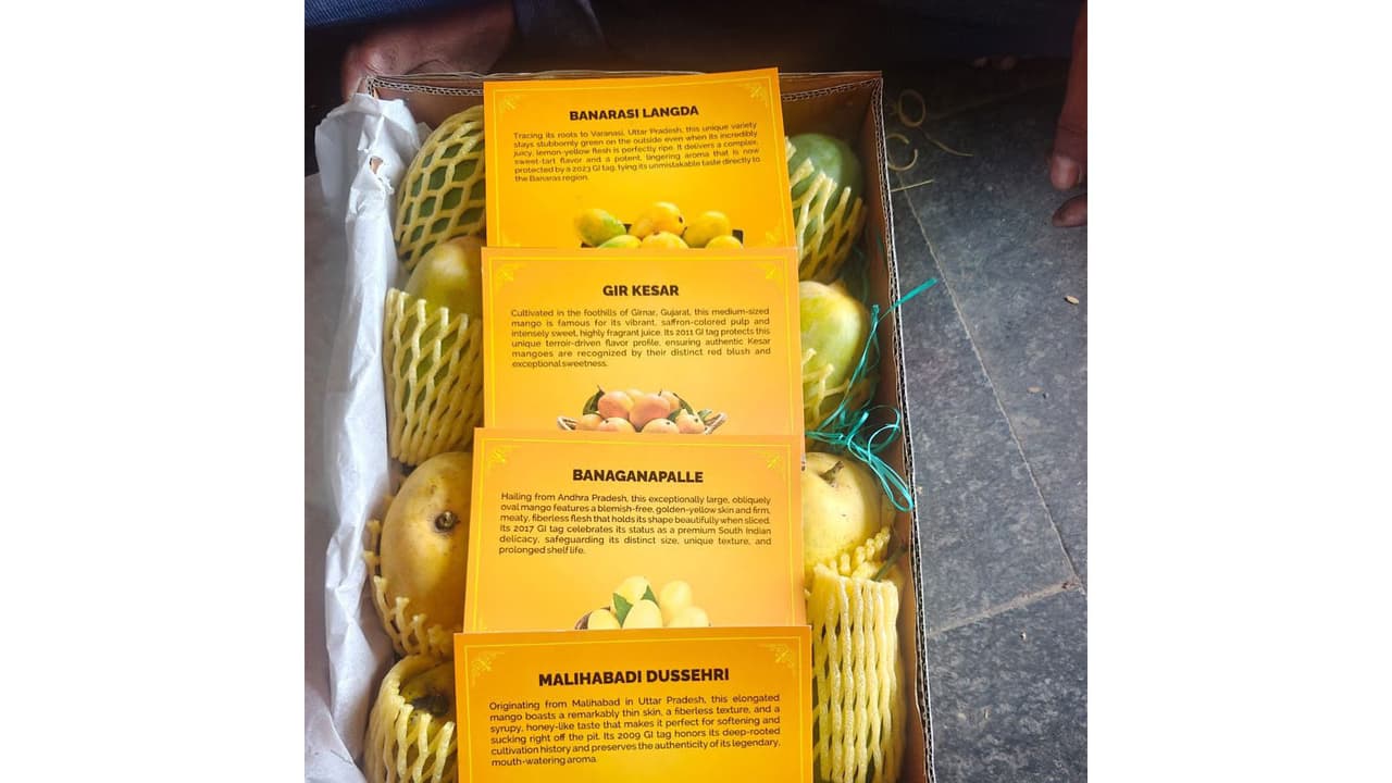 BJP's mango diplomacy: Nitin Nabin sends fruit to 82 foreign missions