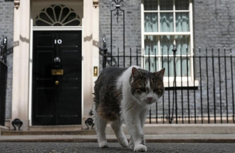 Larry the cat, chief mouser of Downing Street, outlasts sixth UK prime ...