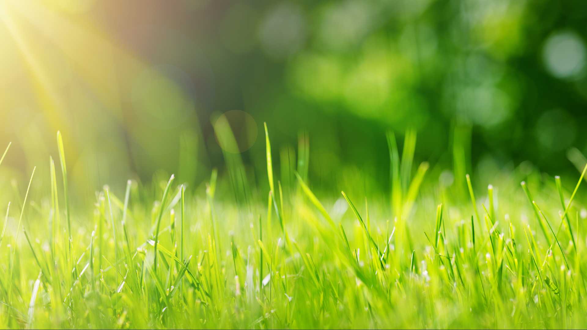 Well-known man in Upstate community dies after lawn mower goes off ...
