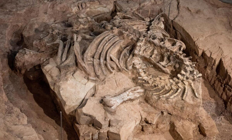 Scientists finally reveal what England’s first complete dinosaur ...