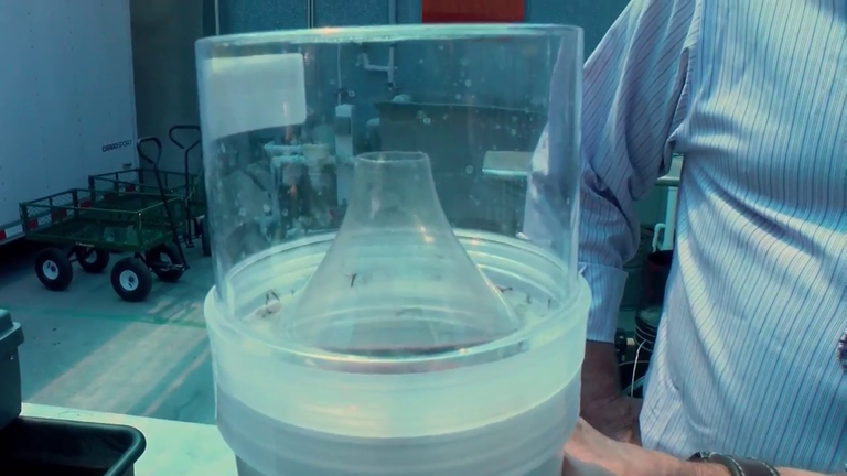 First mosquitoes test positive for West Nile virus in Clark County for ...
