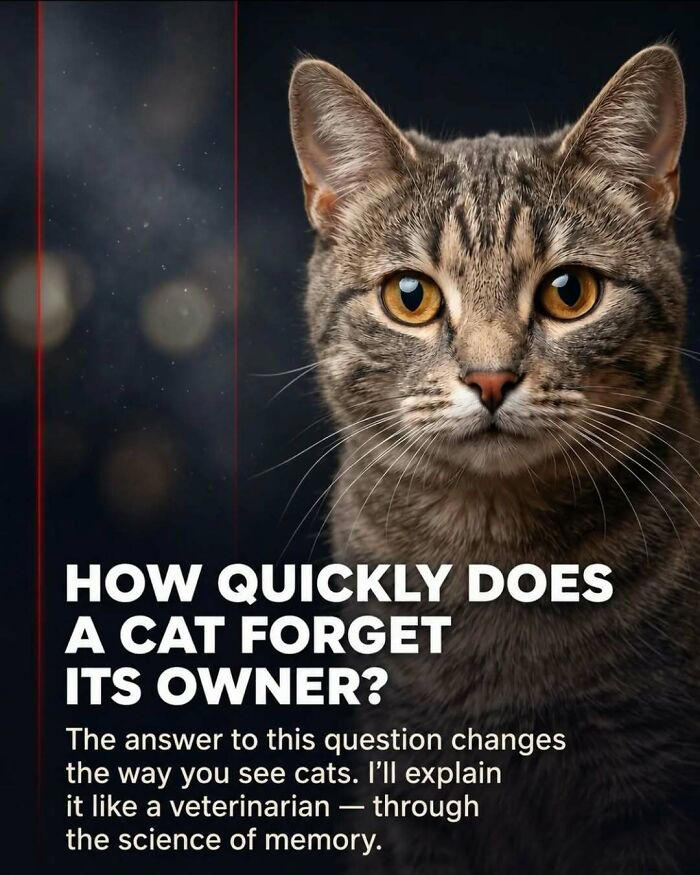 35 amazing stories and facts about highly misunderstood animals