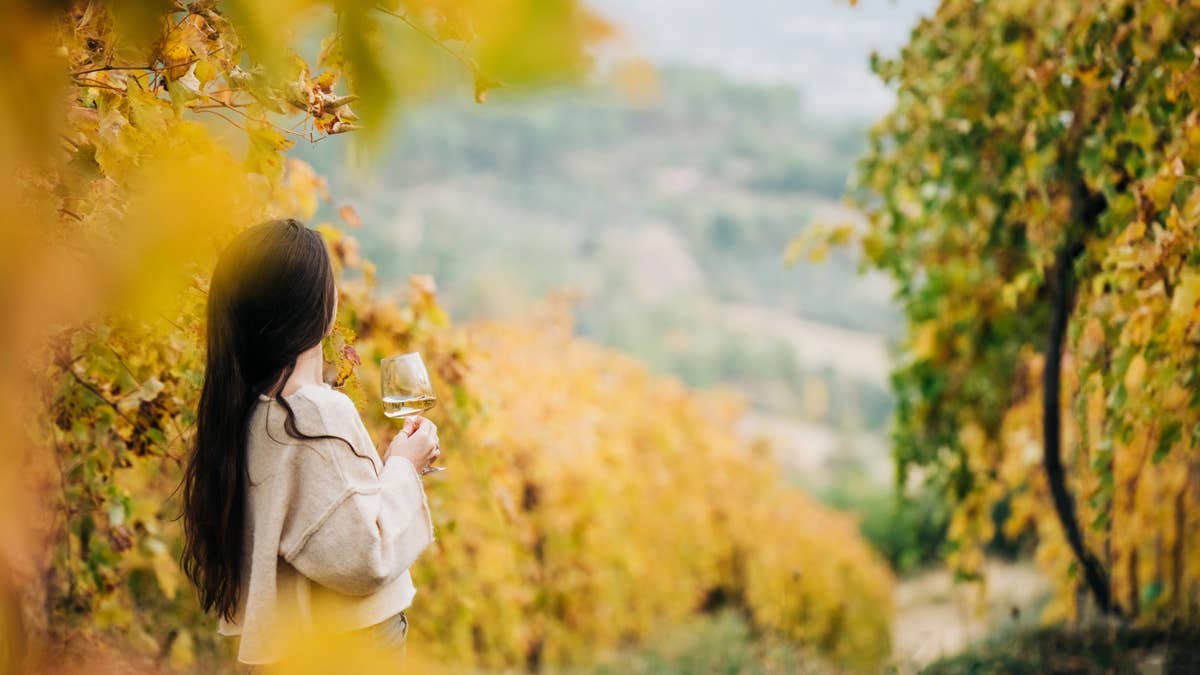 Explore 6 unique US wine regions beyond Napa for art, music, and adventure