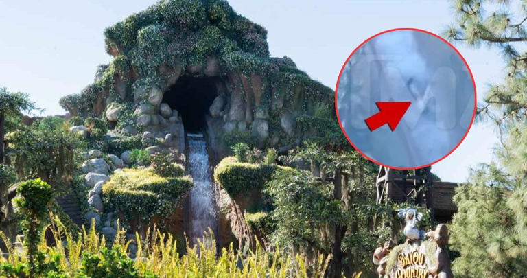 Horror en Disneyland: Video muestra caída de un niño de 13 años desde ...