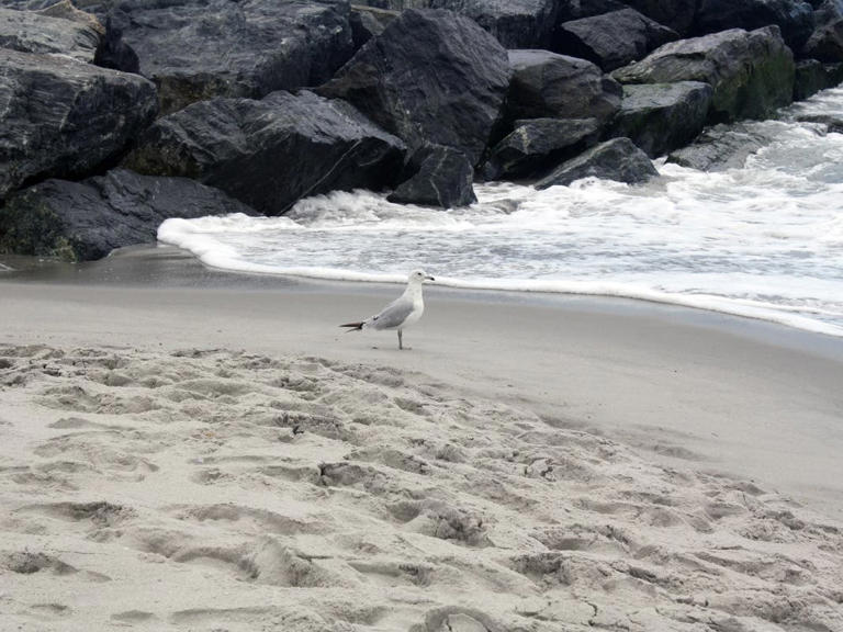 Southeastern CT beach closed due to bacteria levels, state says
