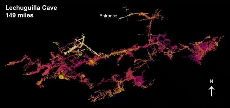 Researchers entered a cave sealed off for 5 million years and found 20 ...