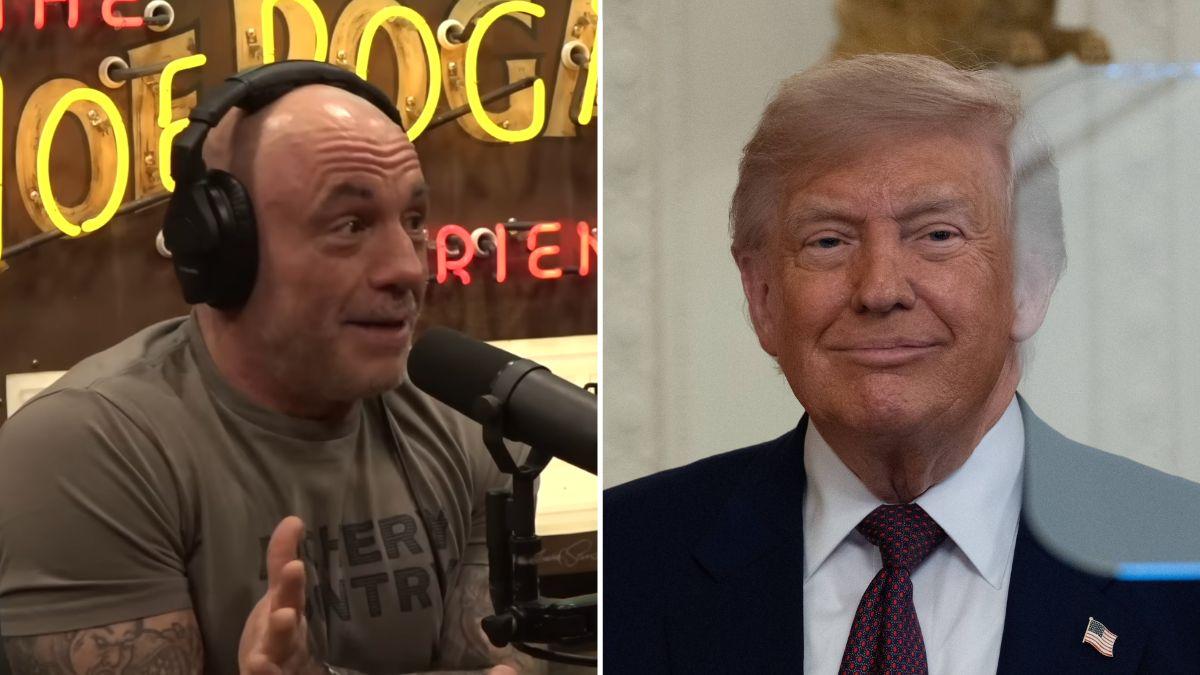 Donald Trump used dark humor to brush off Joe Rogan's UFC security fears
