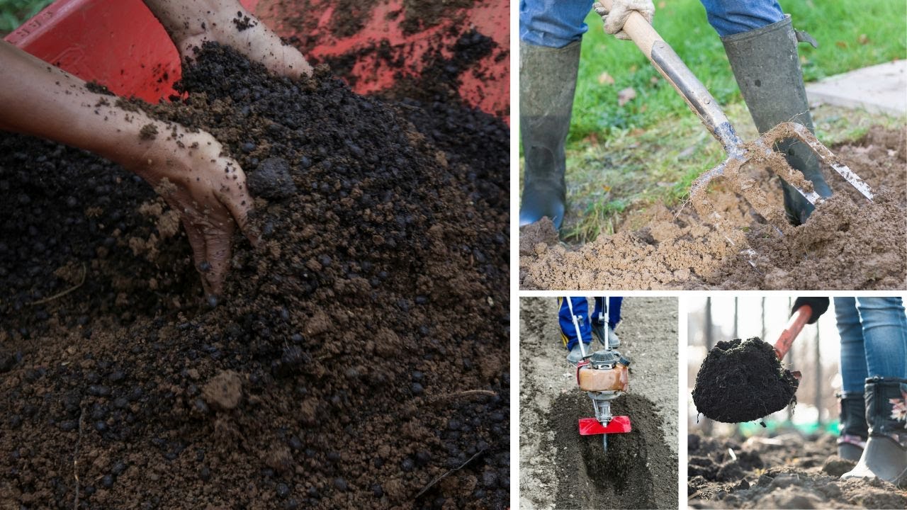 How to prepare garden soil for healthy plant growth