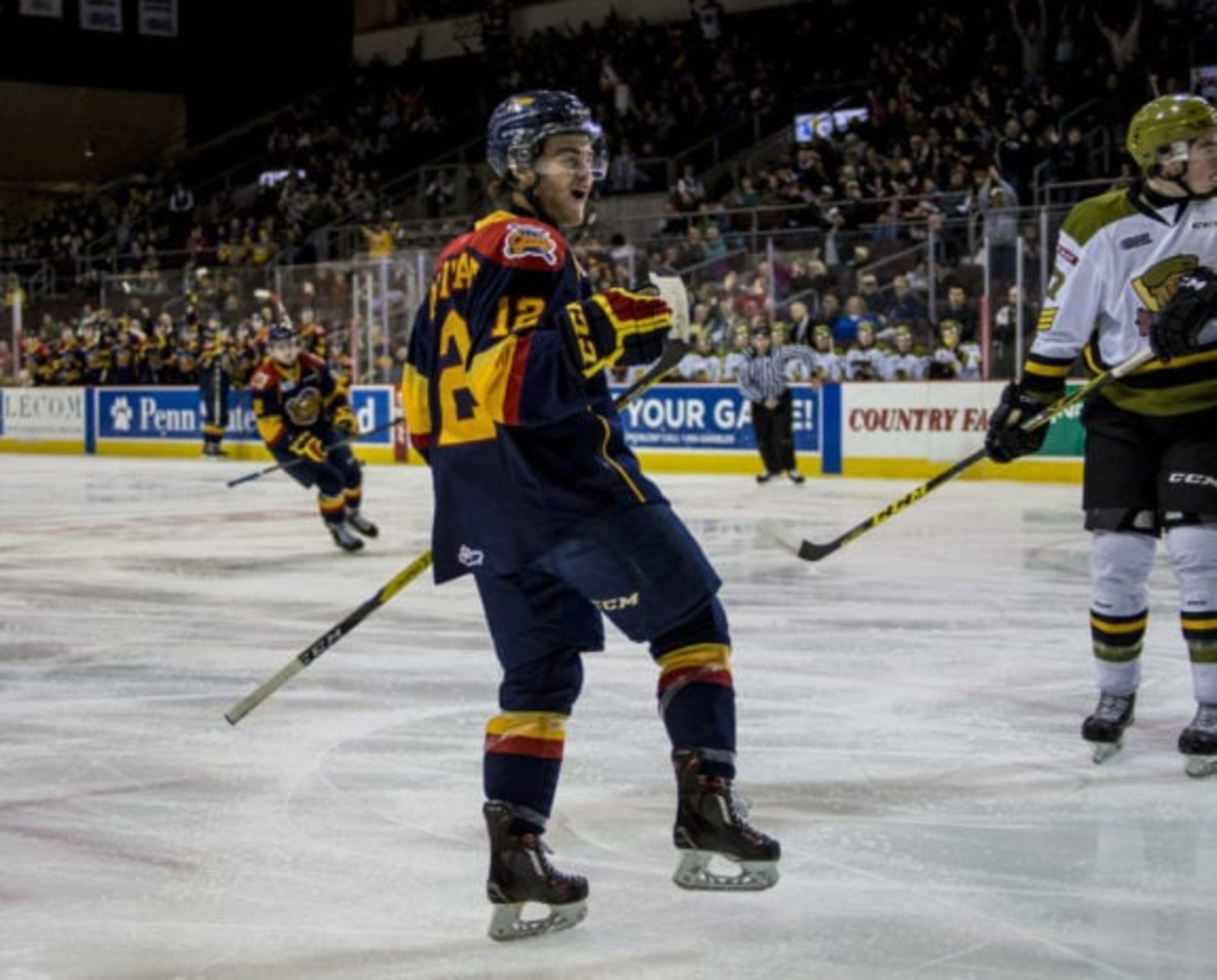 Hamilton hammers news & notes – opening date set, coaching staff named ...