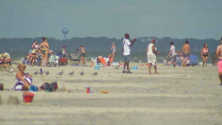 These Georgia beaches have elevated levels of fecal bacteria, state says