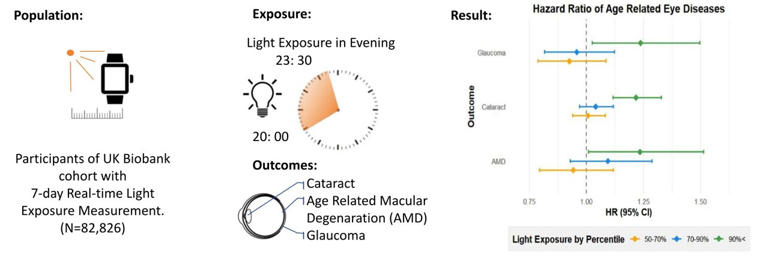 Exposure to bright evening light linked to higher risk of age-related ...
