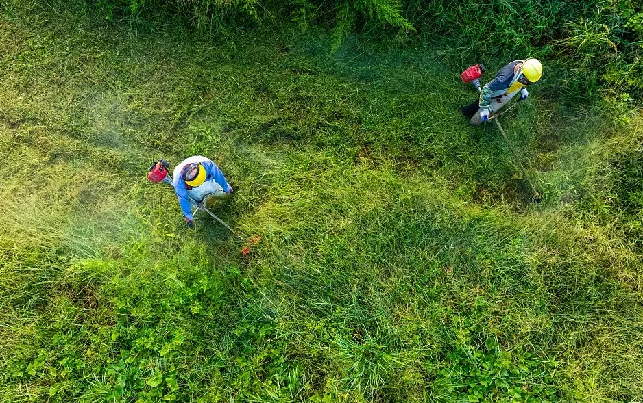 Choosing the right trimmer for your yard work