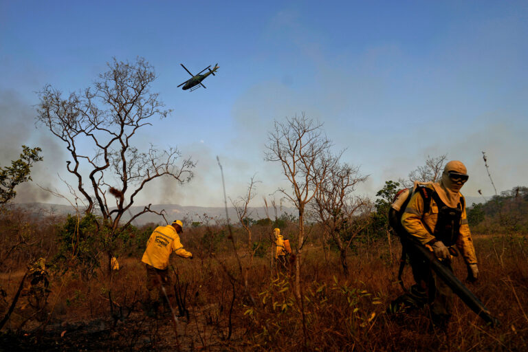 Fire surge threatens Indigenous livelihoods and isolated peoples in Brazil