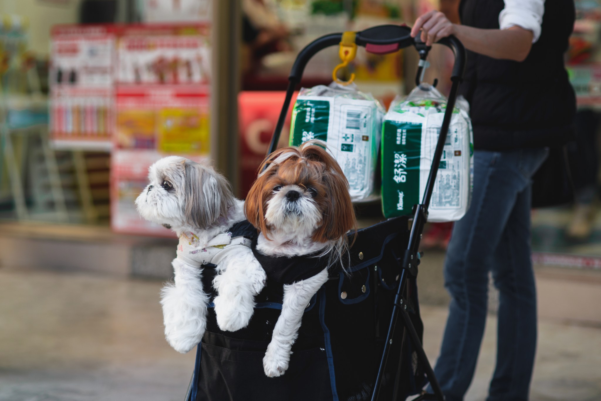 Births are falling so fast pets now outnumber children in Taiwan