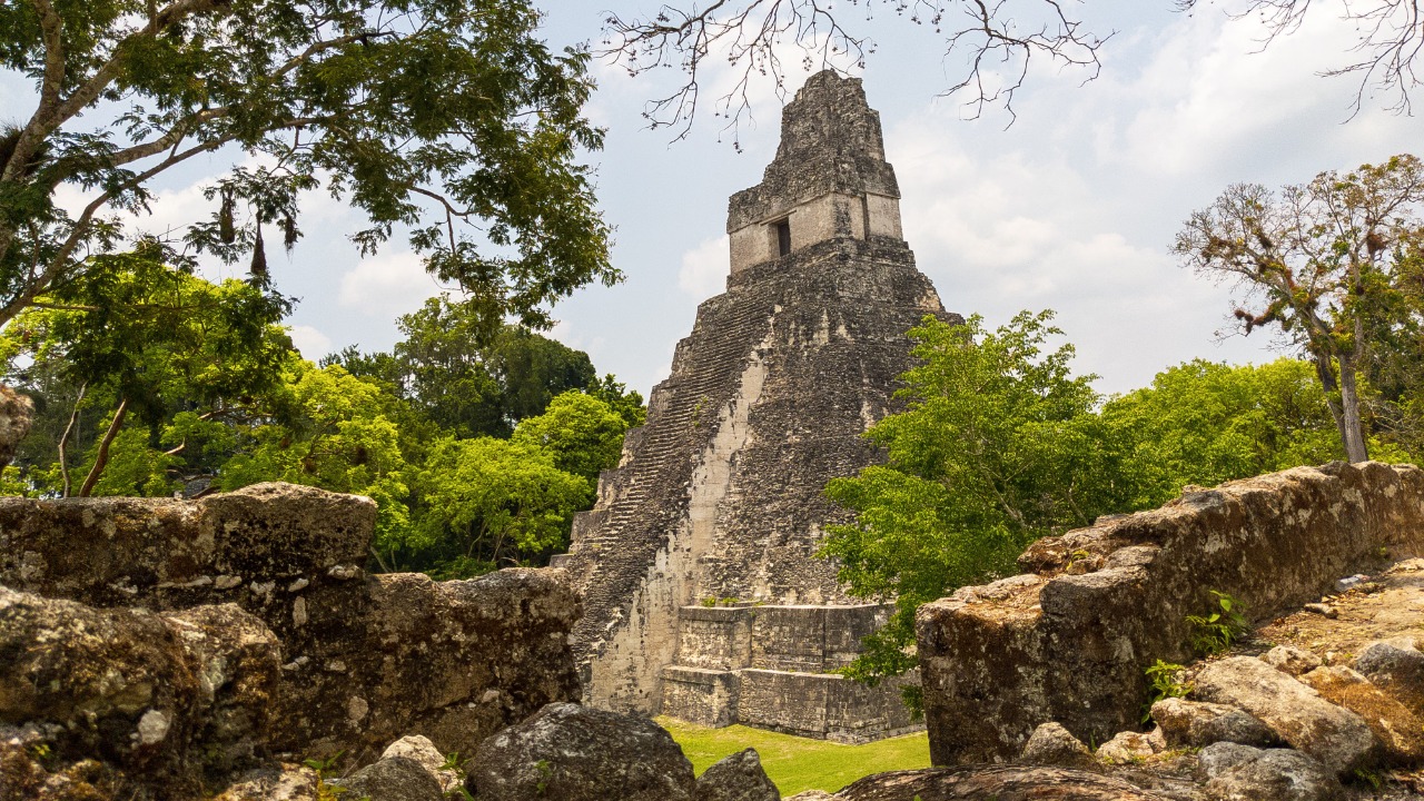 Laser scans found a lost Maya city of 6,479 buildings hidden under a ...