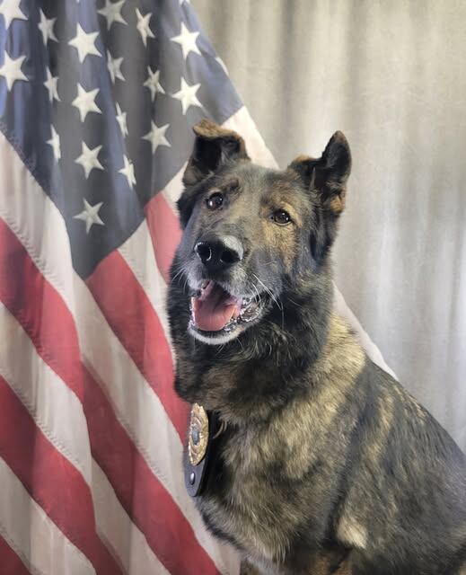 Coralville police K-9 dies after nearly a decade of service