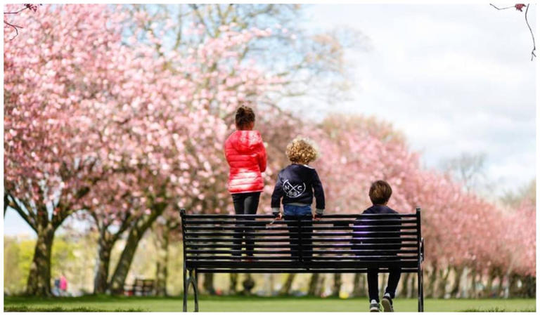10 Edinburgh beauty spots to enjoy the sunshine - including some ...