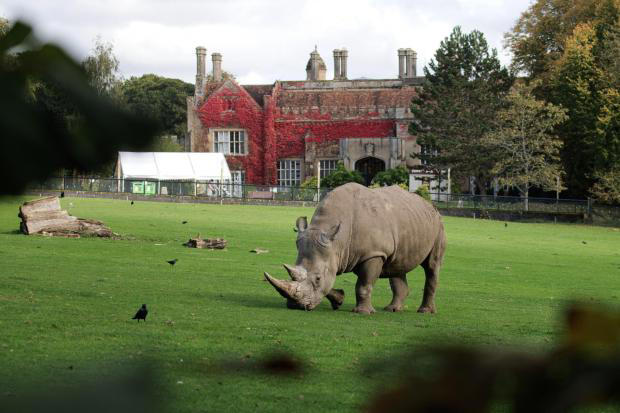 Hampshire zoo closes doors due to heat with animal welfare concerns