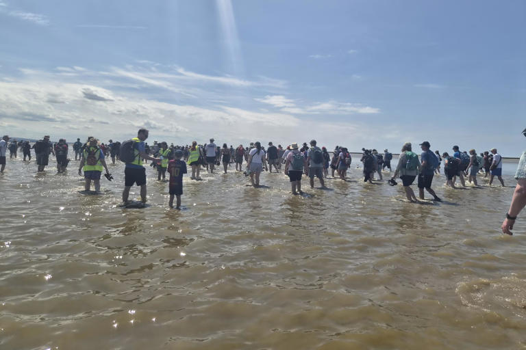 Lancaster cancer charity’s Cross Bay Walk raises over £16k