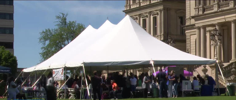 Capitol lawn fundraiser supports Michigan foster youth aging out of care