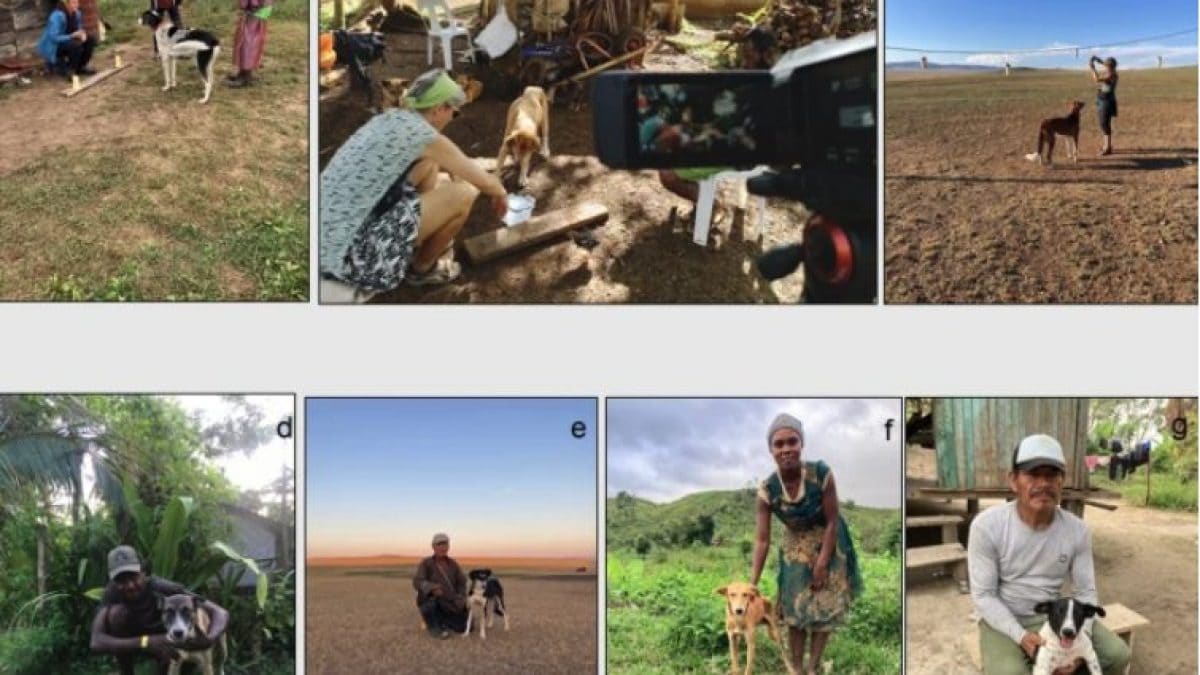 Il rapporto tra cani e umani dura da almeno 30 mila anni, lo studio ...