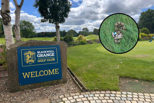 'It's very sad' - Snakes found on Darlington golf course die as club ...