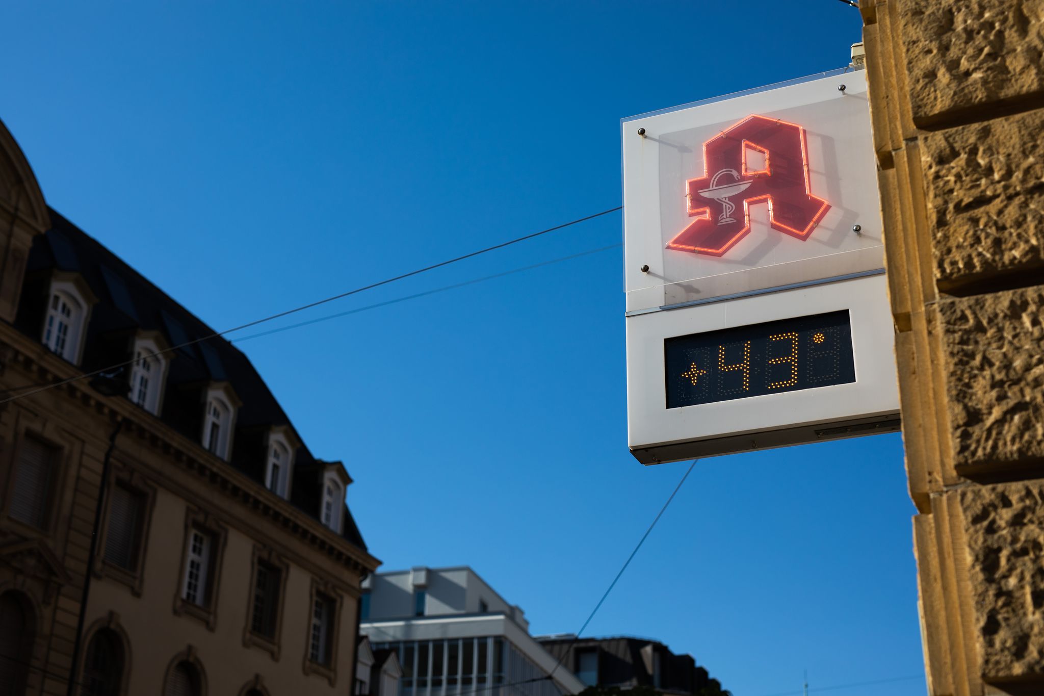 WHO chief: 500,000 heat-related deaths worldwide per year