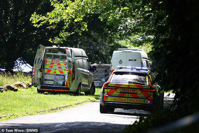 Boy, 14, arrested over murder of missing girl 'posted TikTok of her ...
