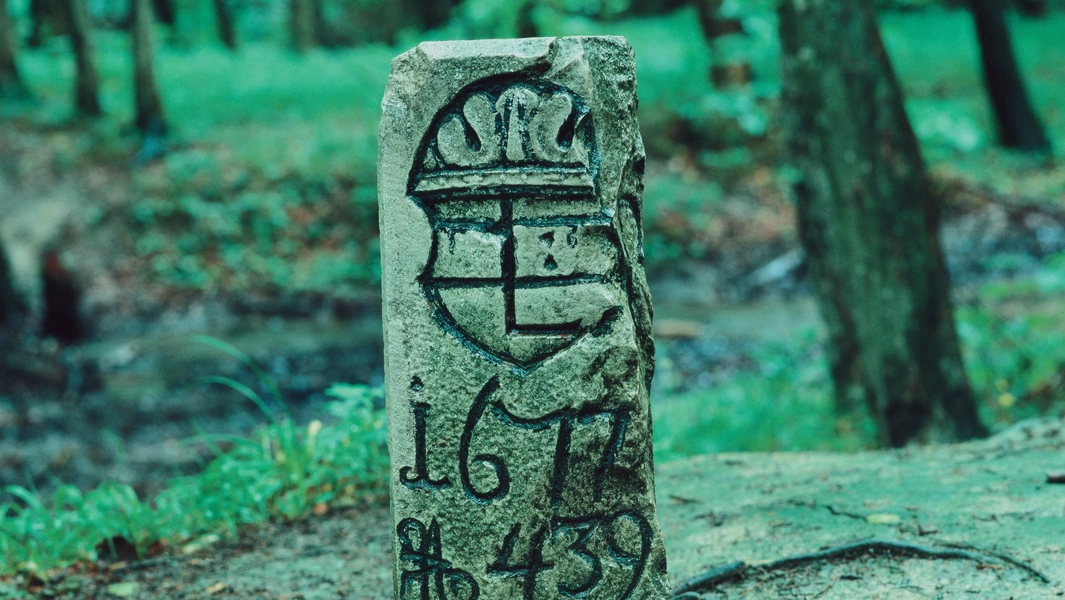 9 unusual and eerie discoveries in forests