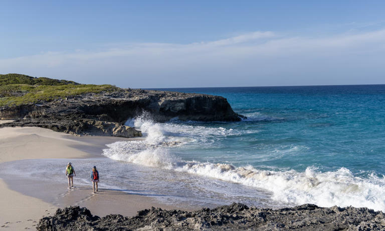 American boy, 12, attacked by shark at luxury Caribbean resort