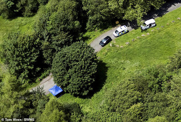 Boy, 14, arrested over murder of missing girl 'posted TikTok of her ...