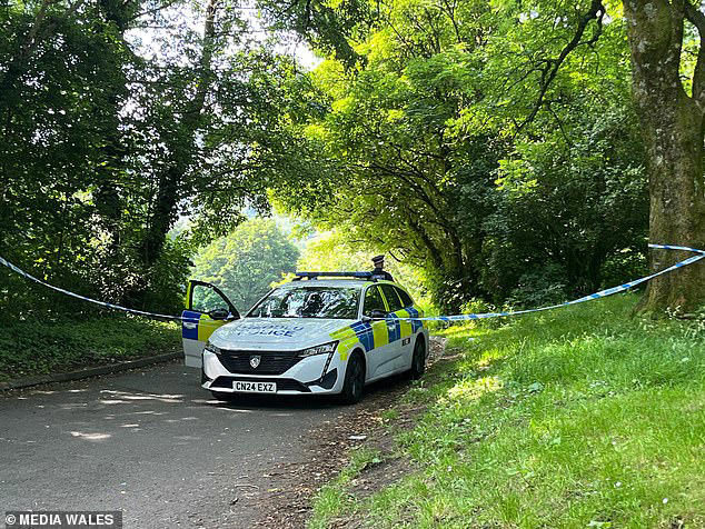 Boy, 14, arrested over murder of missing girl 'posted TikTok of her ...