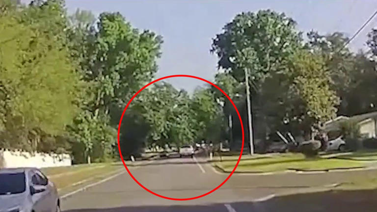 Winter Springs releases dashcam video of tree crashing onto car to ...