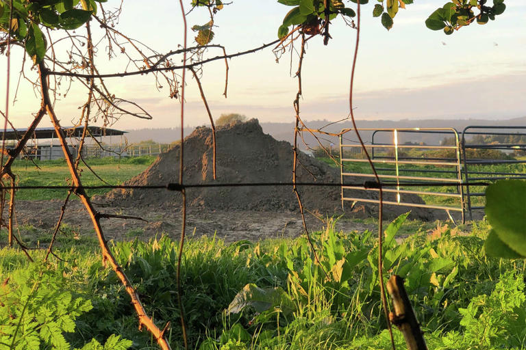 FBI exhumes dead animals at NorCal rescue, hundreds more feared missing