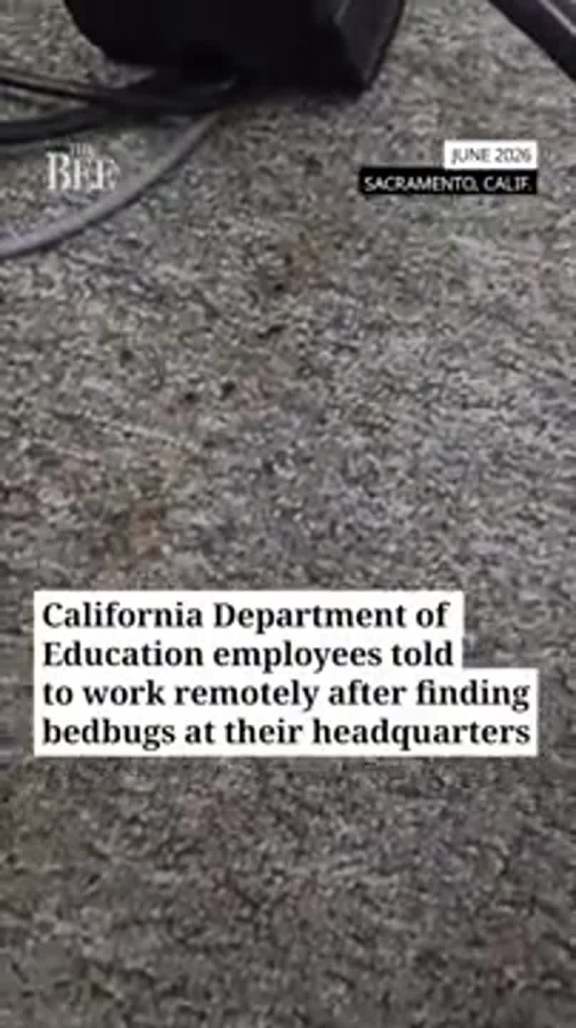 See bedbugs at Department of Education headquarters that send staff home