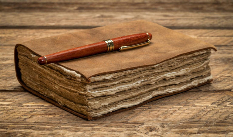 Un cahier vieux de 800 ans découvert dans une latrine médiévale en ...