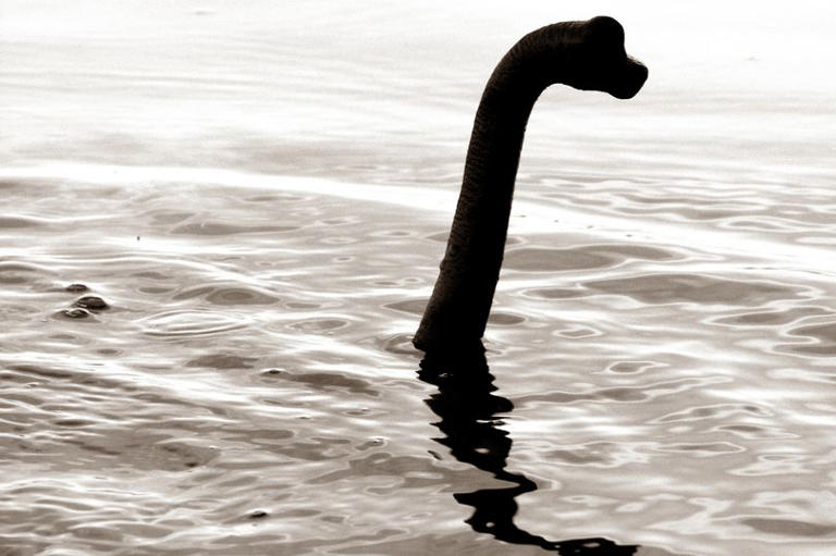 Cold water swimmers 'scaring off' Loch Ness monster as experts fear she ...