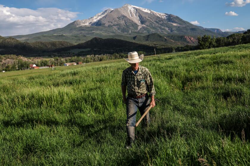 'This is terrifying': The Colorado River, a lifeline for seven states ...