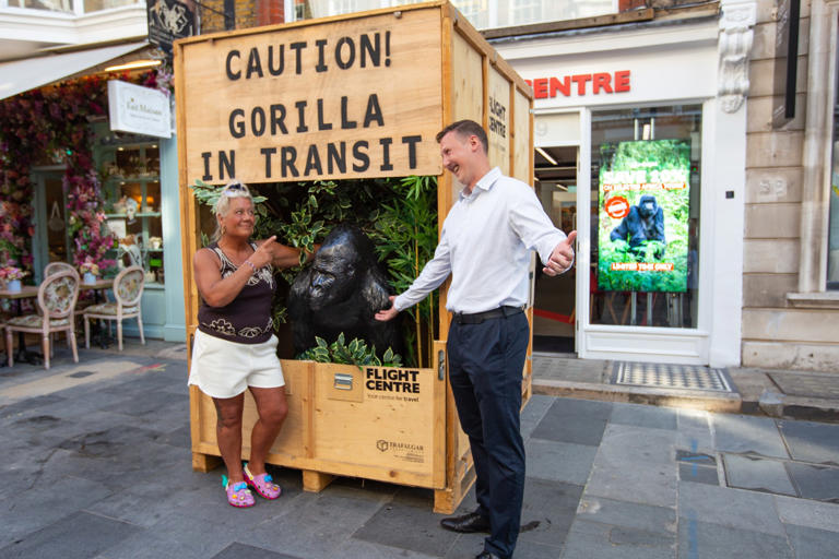 Gorilla statue 'evicted' from woman's house in Yorkshire finds a new ...