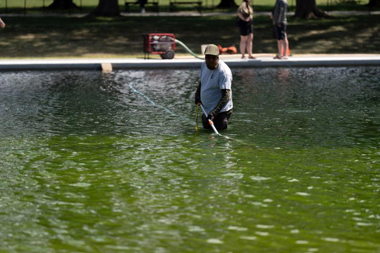 AOC mocks Trump's Lincoln Memorial Reflecting Pool fiasco saying he's ...