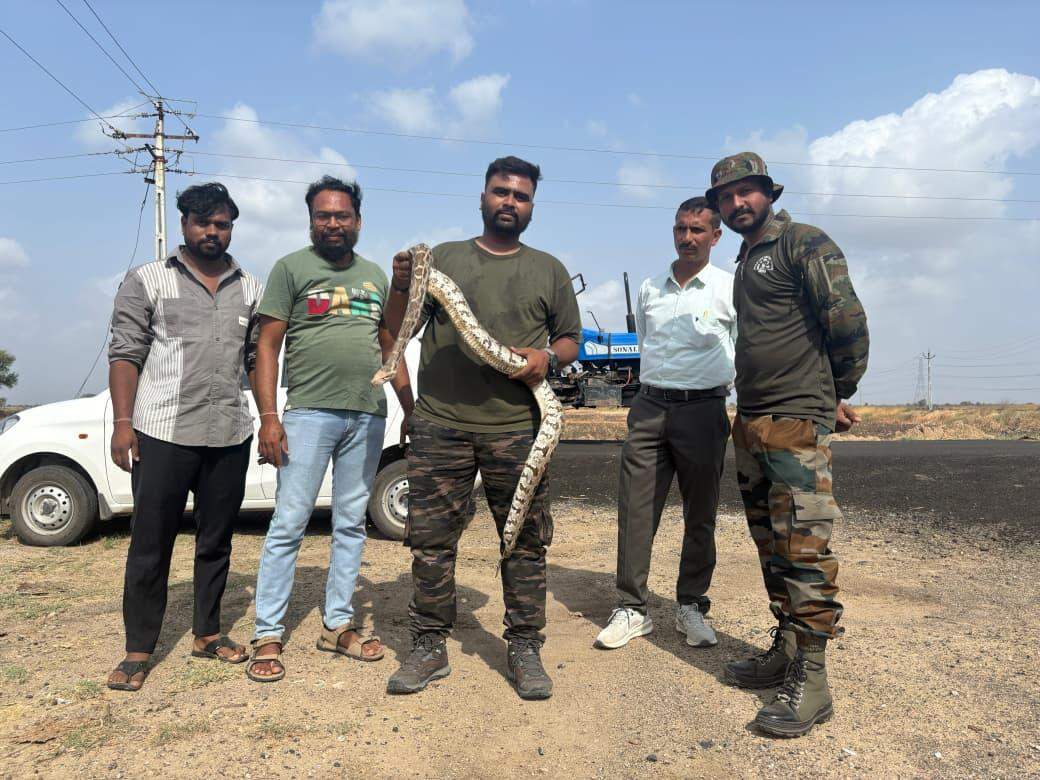 7-foot python rescued from village near Dholka in Gujarat