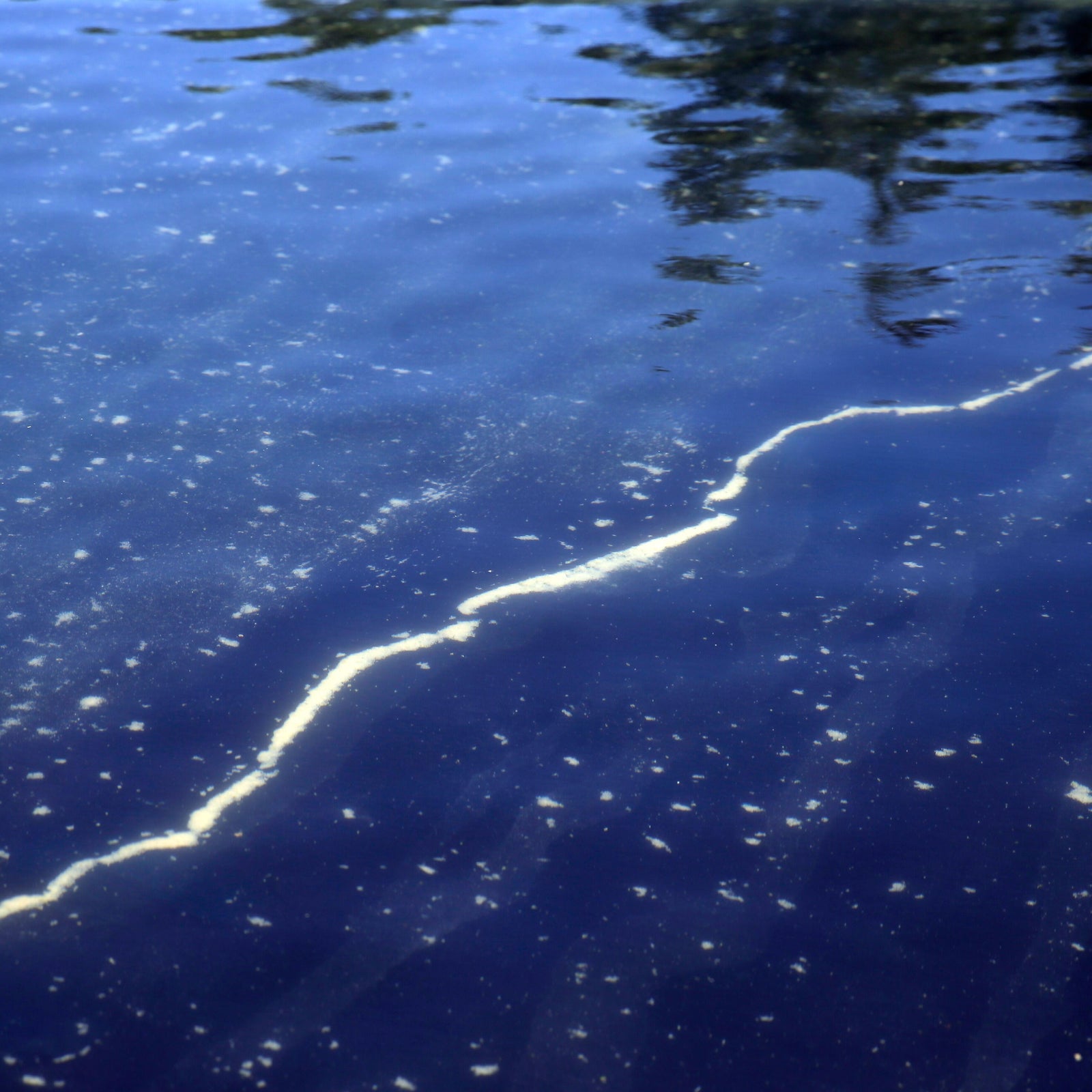 Reflecting Pool liner was cut with knife or razor, parks official says