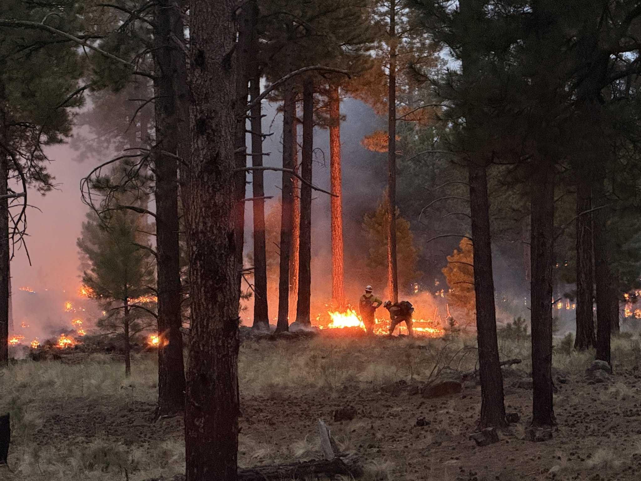 Evacuation orders lifting for McCauley Springs fire in Sandoval County