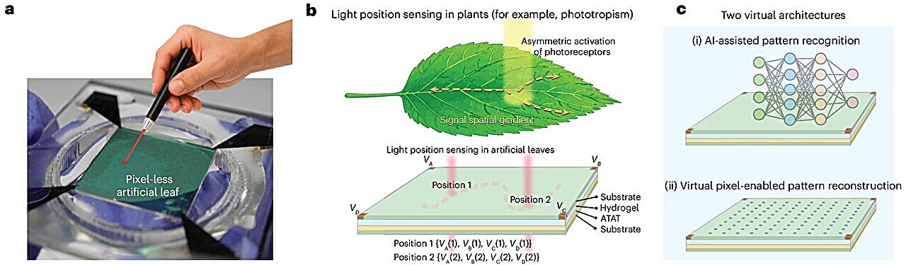 Artificial 'leaf' powers wireless biomedical device