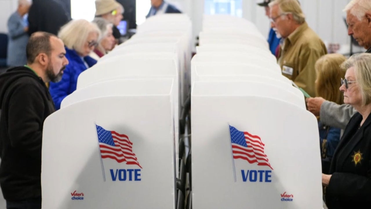 Senate Democrats to train staffers as independent election observers