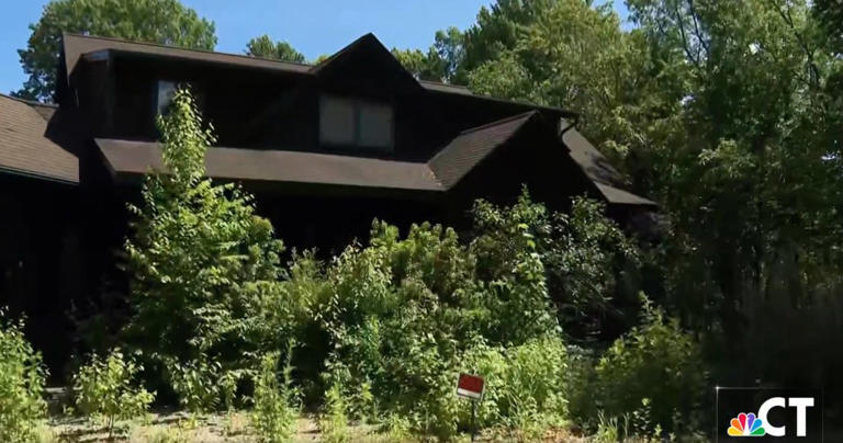 Mother, son ID’d as grisly skeletal remains discovered in Connecticut ...