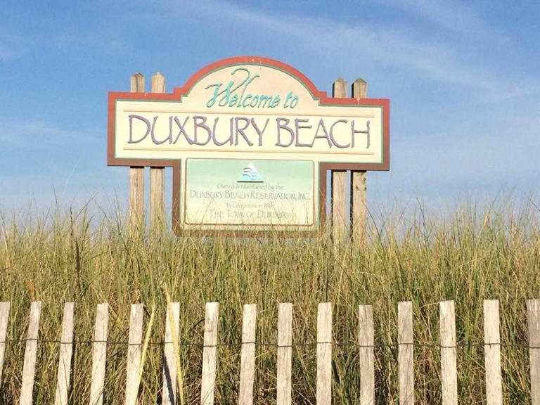 Police: Drunk man drove on dunes of South Shore beach with child in car