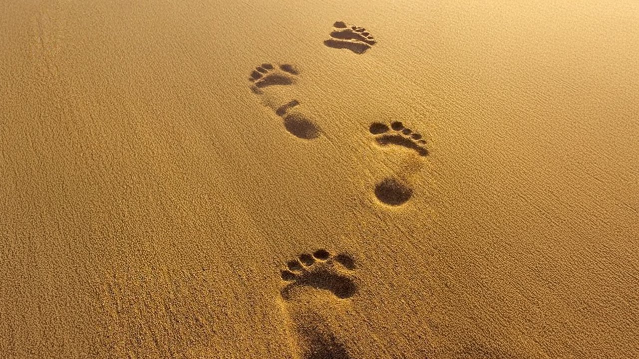 295,800-year-old human footprints in Spain rewrote Europe’s timeline