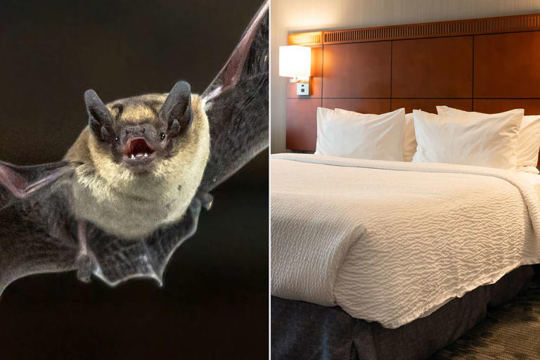 Pilot checked into Denver hotel for overnight stay, then woke up to ...