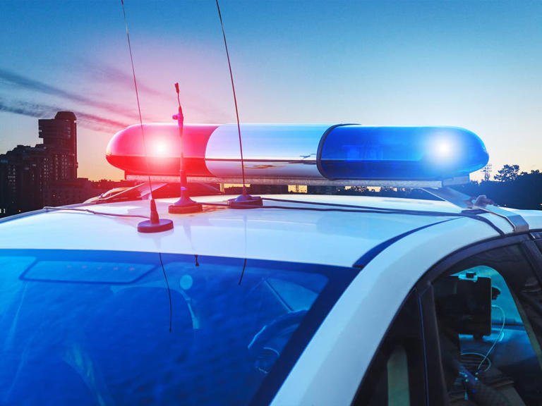 Fake dish seller scams residents out of $10K+: Winnetka, Glencoe crime ...